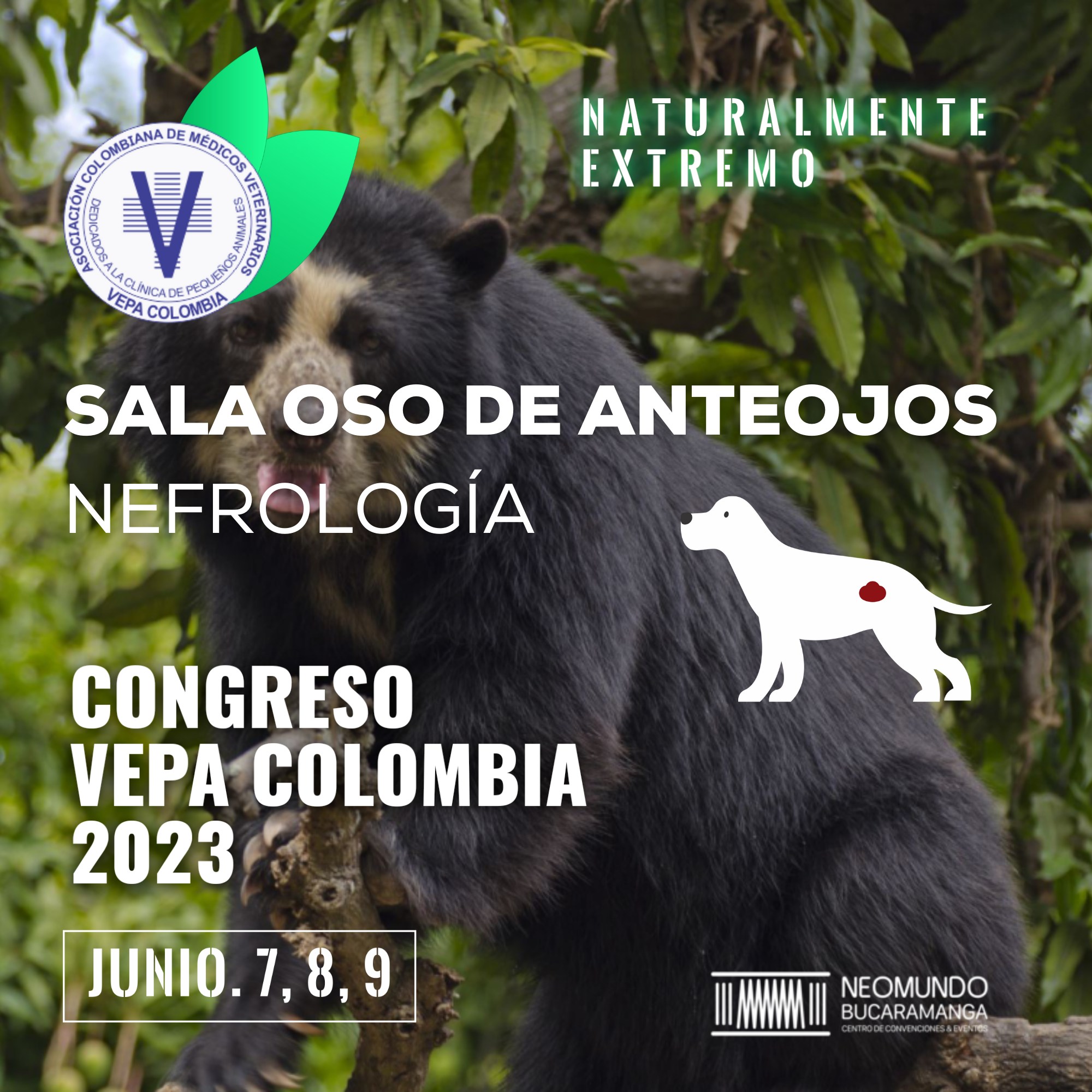 Agendas académicas – Congreso Vepa Colombia 2023